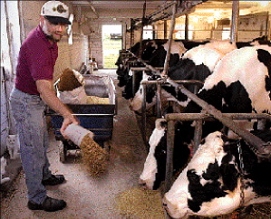 Relief milker program ends