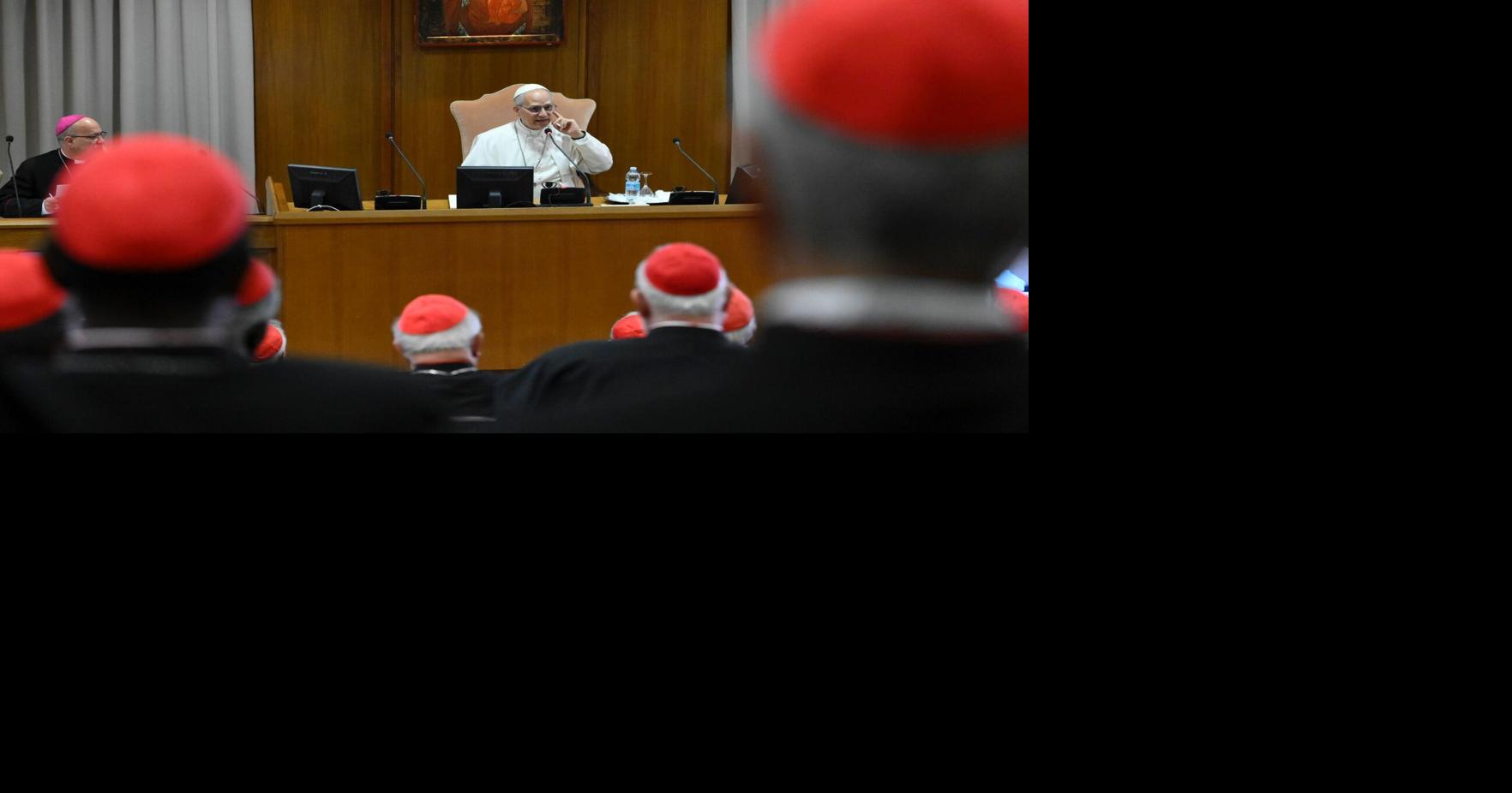 Pope Leo signals he will closely follow Francis and says AI represents ...
