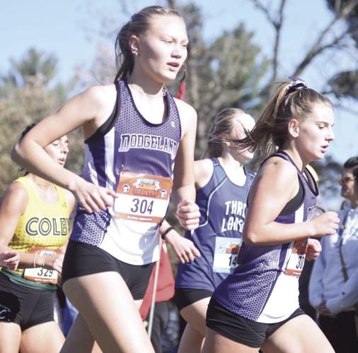 Dodgeland girls fourth in D3; Logan Pickart 53rd in boys race | Local ...