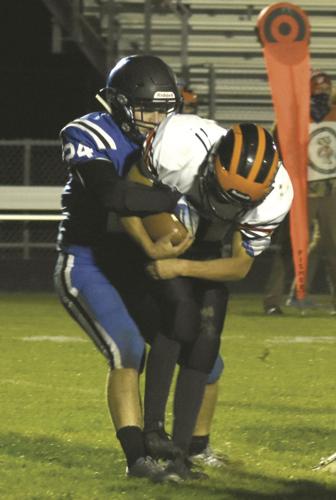 Goslings grind up Portage on the ground, survive aerial assault | Local ...