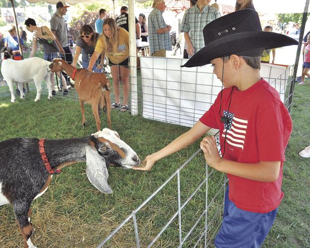 Goat fest | Lifestyle | wdtimes.com