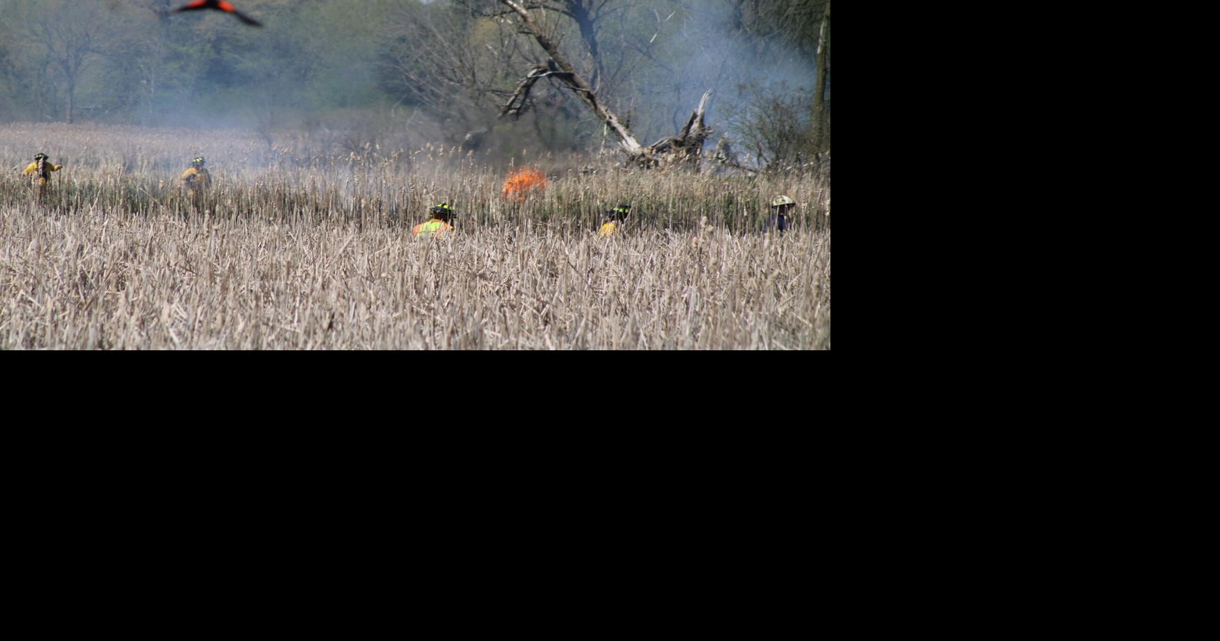 Firefighters battle marsh fire | Local News | wdtimes.com