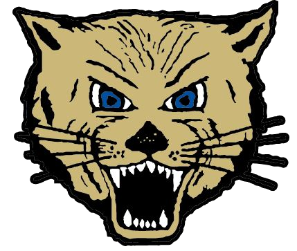 Boys basketball: L-Cats dominate second half, bury Pumas | Local Sports ...