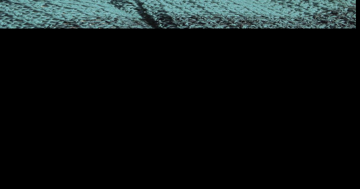 Maas, Allison | Profiles | wdtimes.com