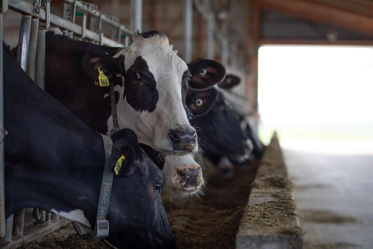 Dairy breakfast draws more than 4,000 people | Agriculture | wdtimes.com