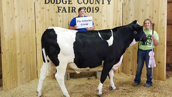 Top animals at Dodge County Fair sell for $265,613 | Local News ...