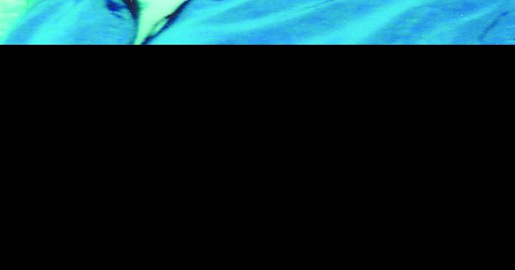 Ron D. Ebert | Obituaries | wdtimes.com