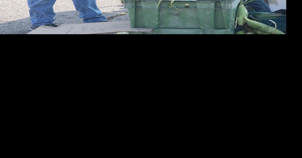 Fresh produce all the rave at Watertown Farmers' Market | Local News ...