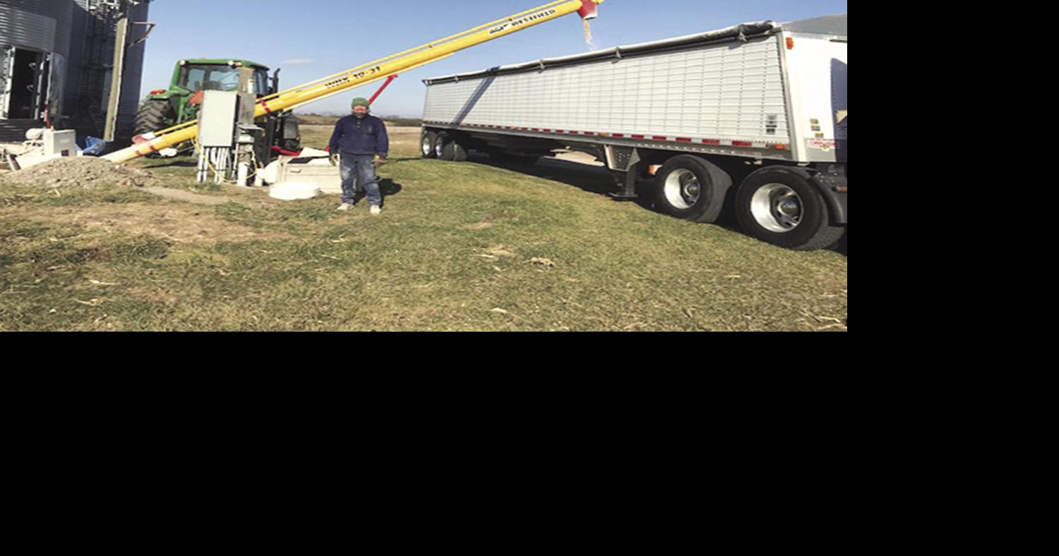 Grain handling safety: Priceless practices | Agriculture | wdtimes.com