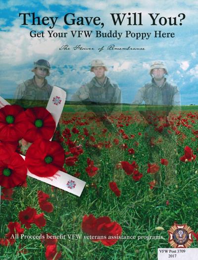 VFW Post 3709 to hold annual poppy drive | Community | wdtimes.com