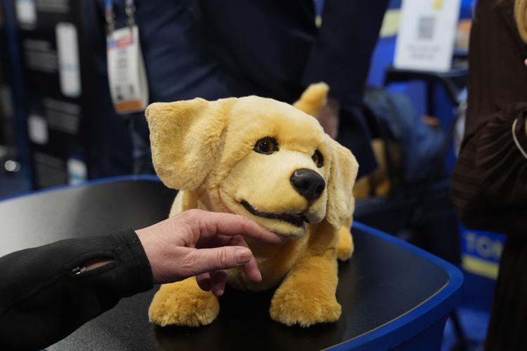 Photos of the latest tech at the CES trade show in Las Vegas | National ...