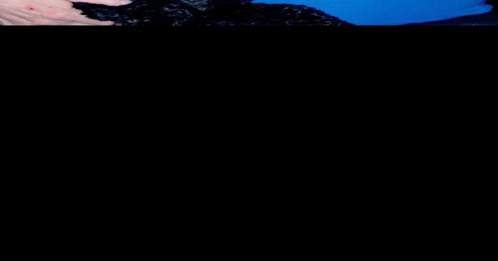 George W. Reid | Obituaries | wdtimes.com