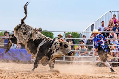 Rice Rodeo Co. to perform at Dodge County Fair | Local News | wdtimes.com