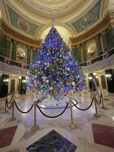 Local students' ornaments displayed in Capitol | Homepage | wdtimes.com