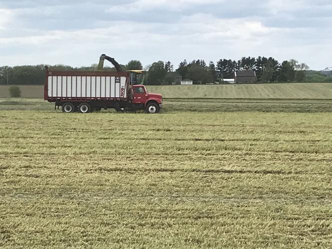 Making hay | Local News | wdtimes.com