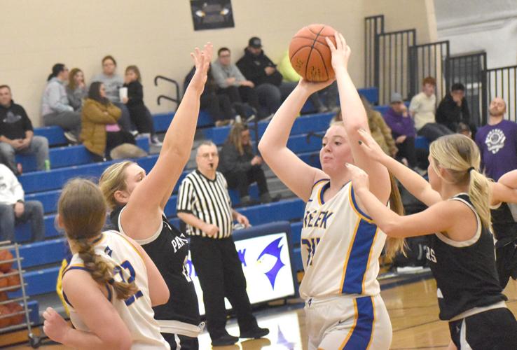 Girls basketball: Johnson Creek turns back Palmyra-Eagle for first ...