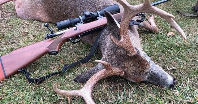 Wisconsin deer herd faces mounting challenges | | wdtimes.com