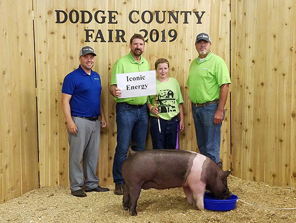 Top animals at Dodge County Fair sell for $265,613 | Local News ...