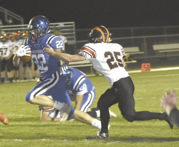 Goslings grind up Portage on the ground, survive aerial assault | Local ...