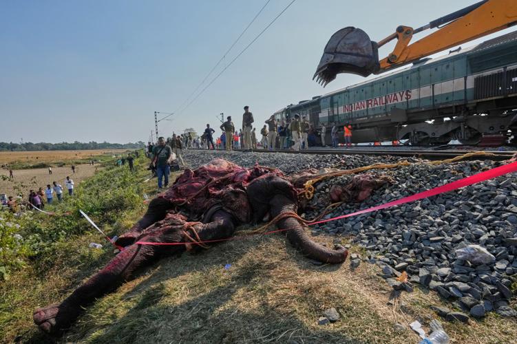 High-speed passenger train kills 7 elephants crossing railway tracks in ...