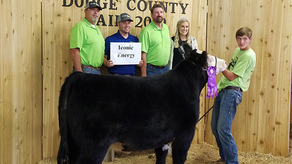 Top animals at Dodge County Fair sell for $265,613 | Local News ...