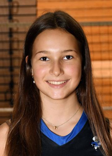 Five Goslings honored in Badger Large volleyball voting | Local Sports ...