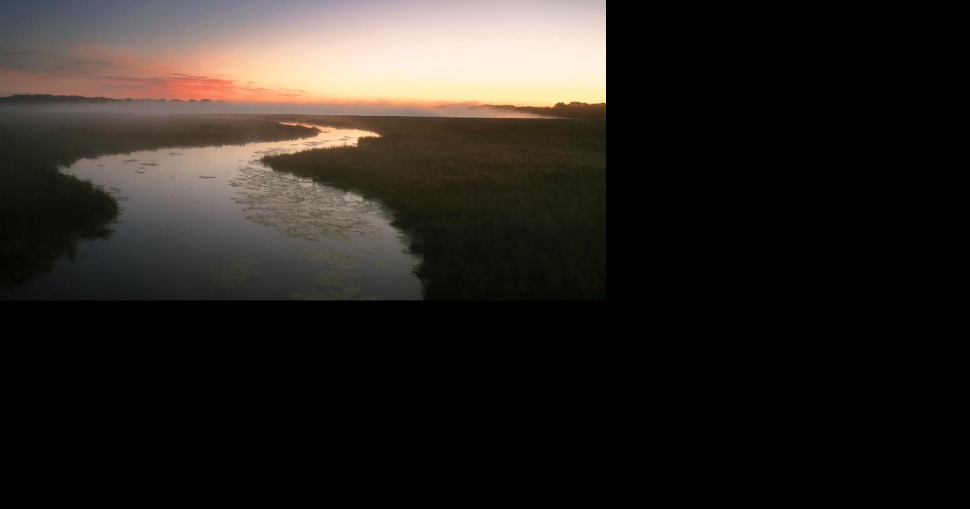 Waubesa Wetlands screening has successful showing | Local News ...