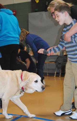 Students learn about service dogs, people with disabilities | News ...