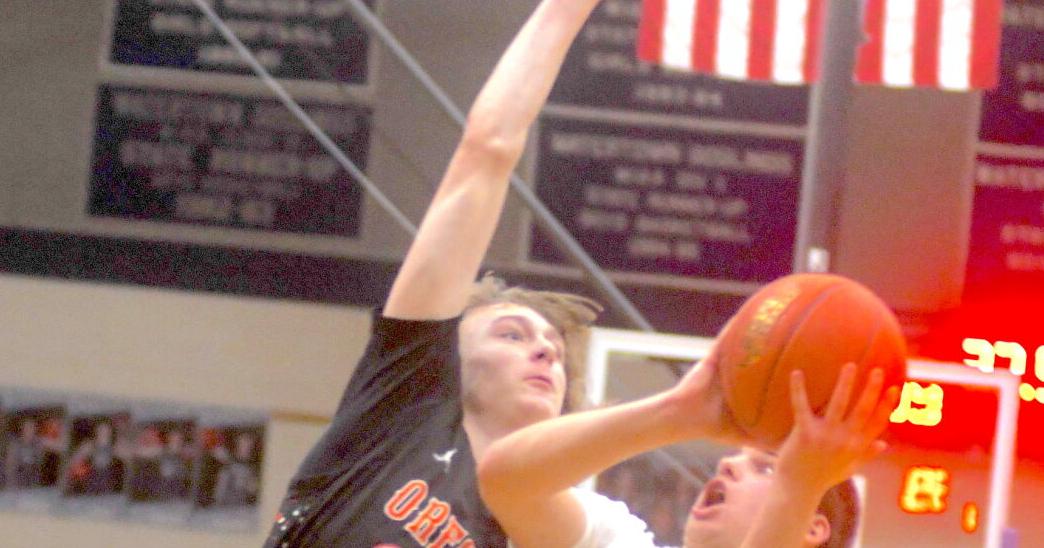 Boys basketball: Panthers avoid upset, slip past Goslings | Local ...