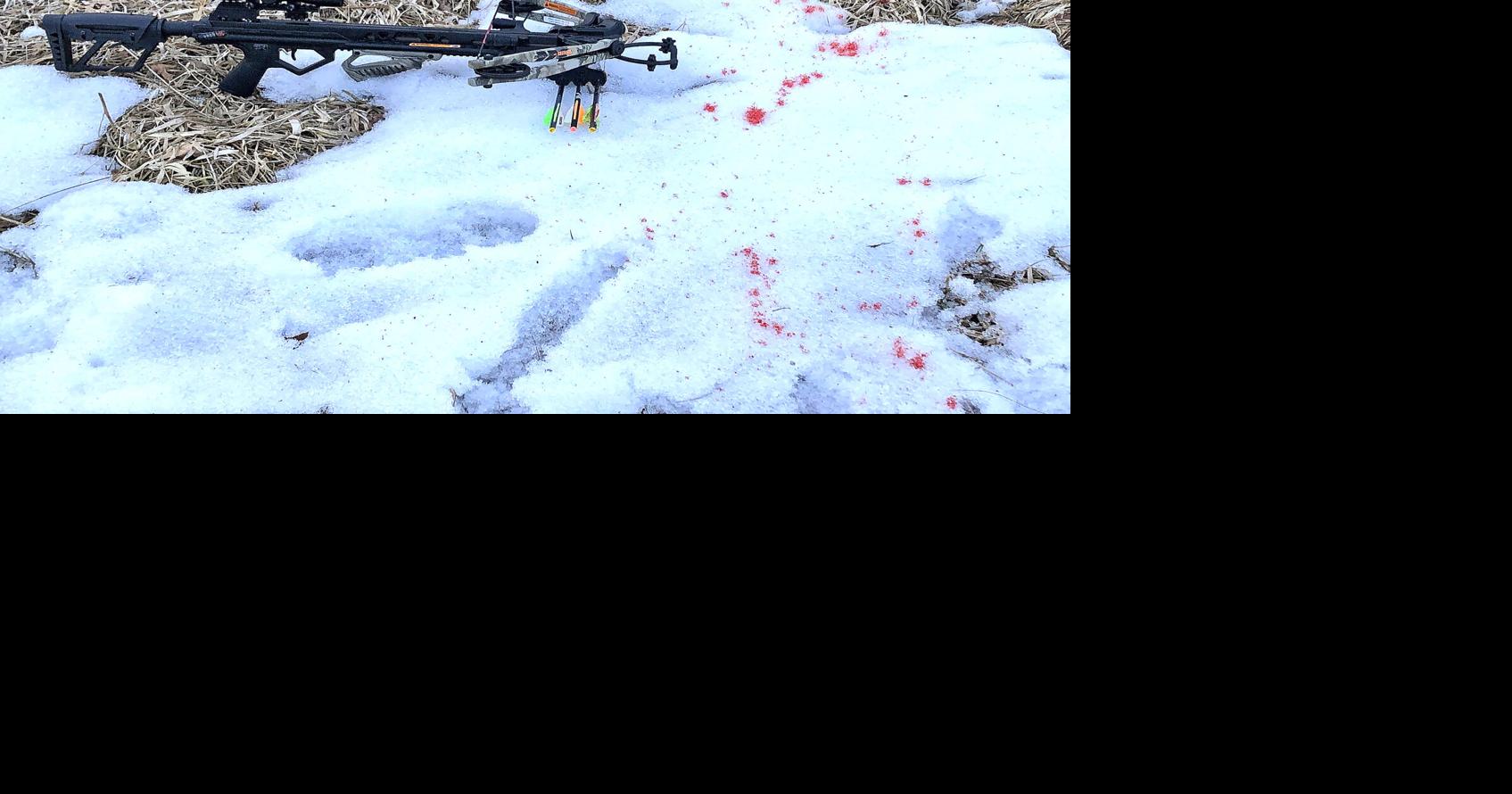 Crossbow’s impact on Wisconsin bowhunting loses steam | | wdtimes.com