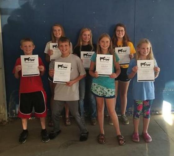 Meat animal awards honor youths' efforts | Local News | wdtimes.com