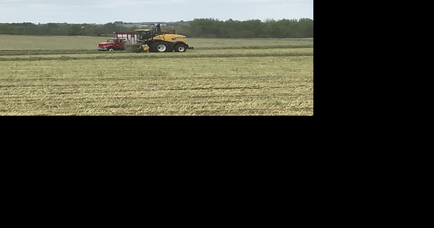 Making hay | Local News | wdtimes.com