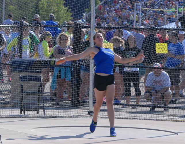 Beerbohm reaches 110 finals at state meet to lead Goslings | Local ...
