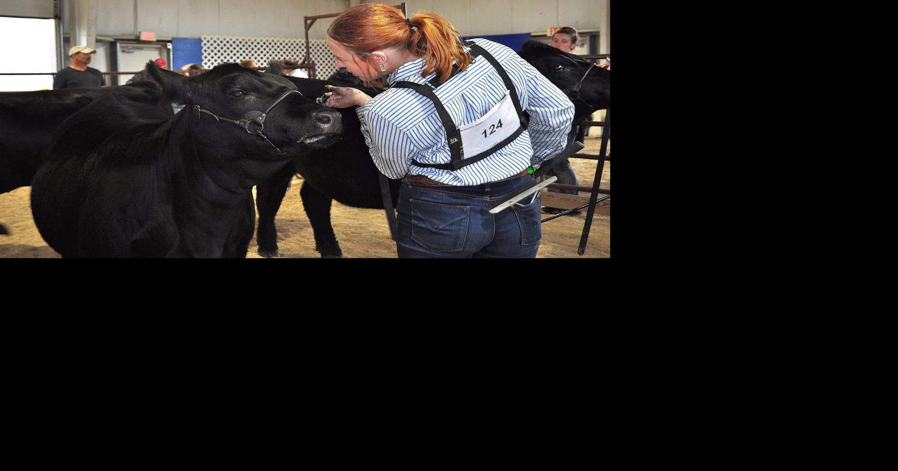 Watertown makes its mark at Jefferson County Fair | News | wdtimes.com