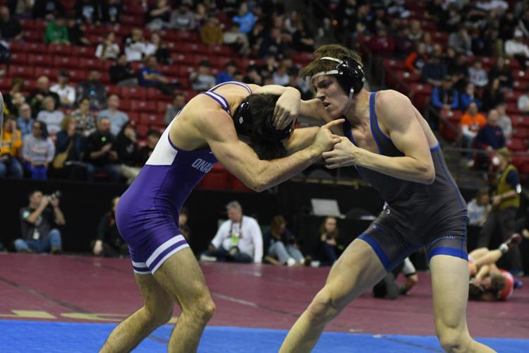 Sjoberg placed third, Busler fifth to lead Goslings at state tourney ...