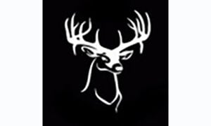 RRL baseball: Whitetails double up Flames | Local Sports | wdtimes.com