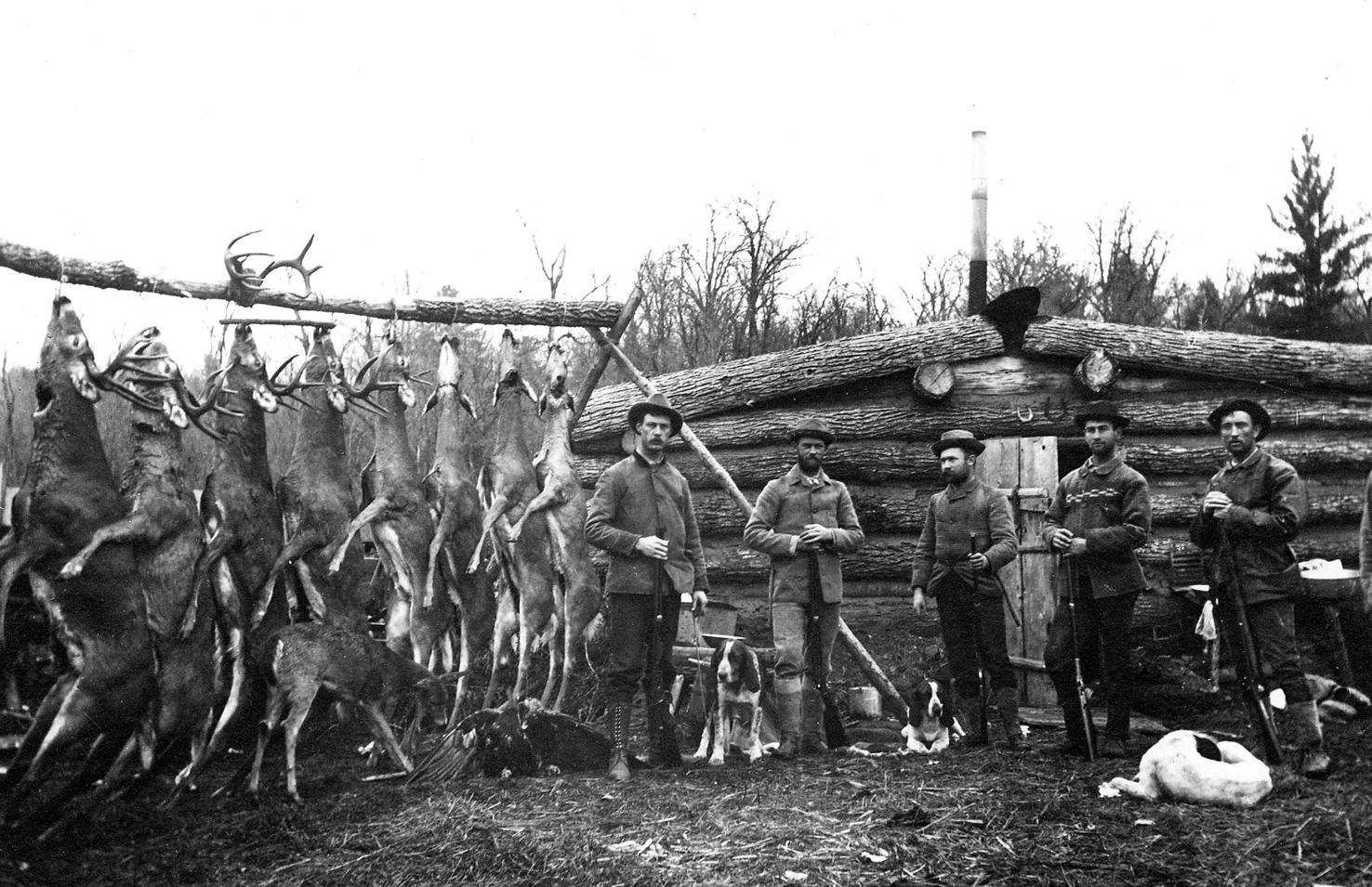 Deer hunting today is 6 times safer than 60 years ago | | wdtimes.com