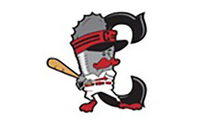 RRL baseball: Martin sparks Canners in win over Whitetails | Local ...