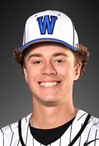 Seven Goslings honored in Badger Large baseball voting | Local Sports ...