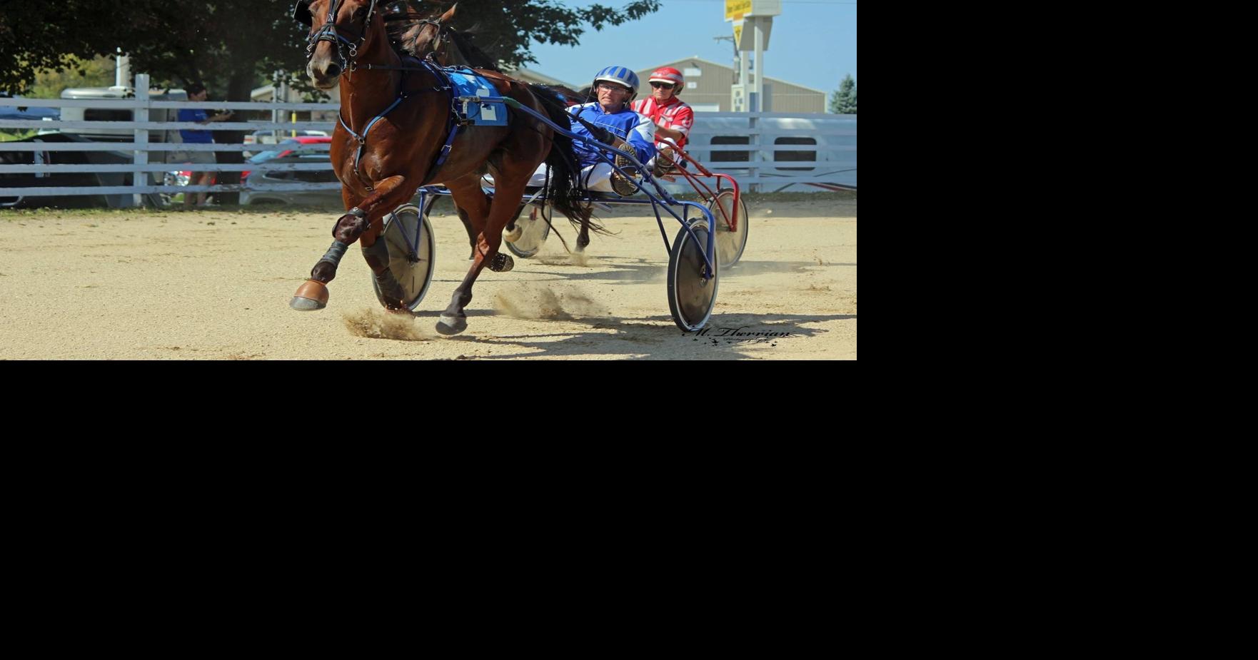Third generation harness racer is family tradition | News | wdtimes.com