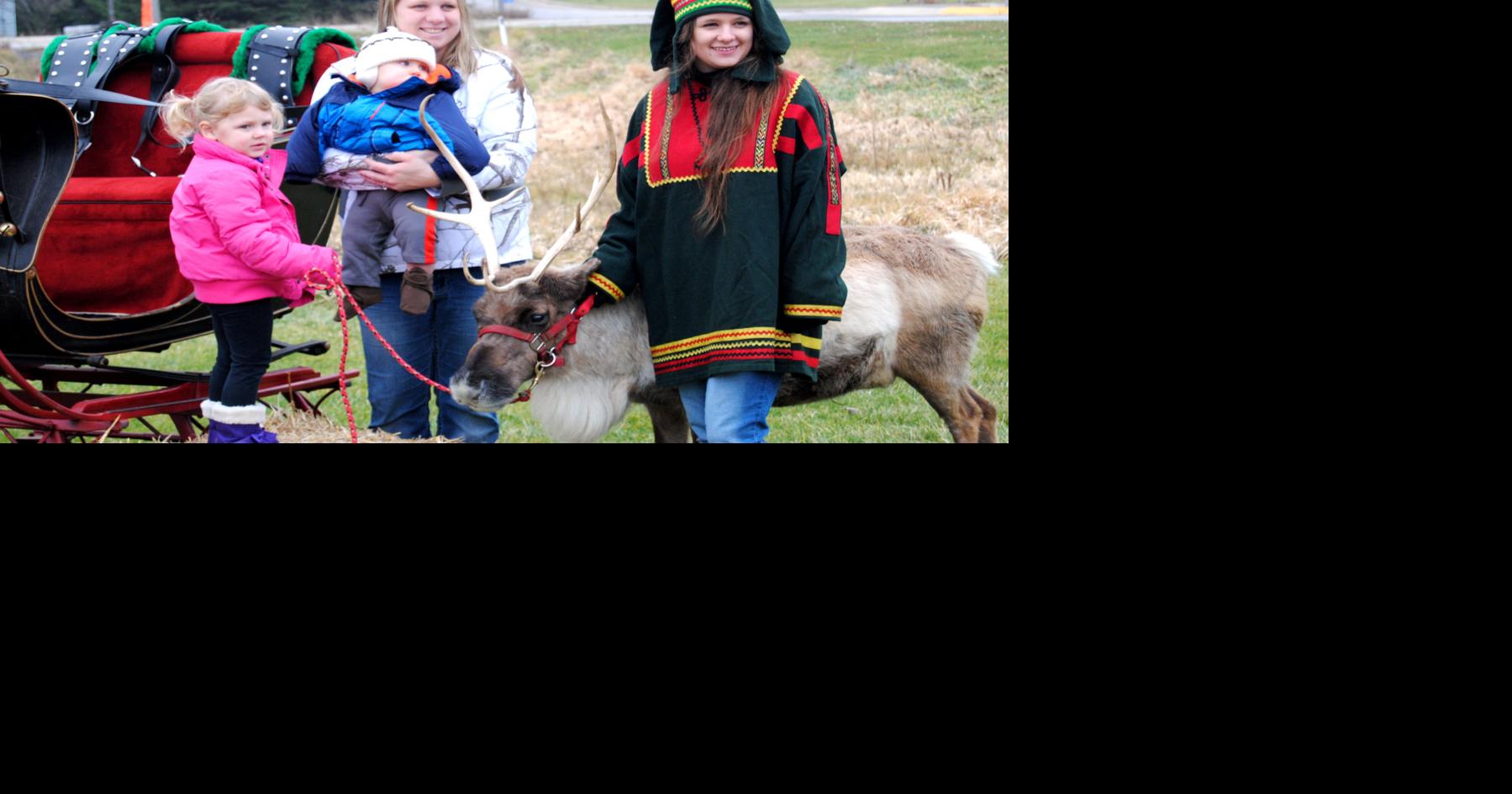 Now Dasher, now Dancer | Local News | wdtimes.com