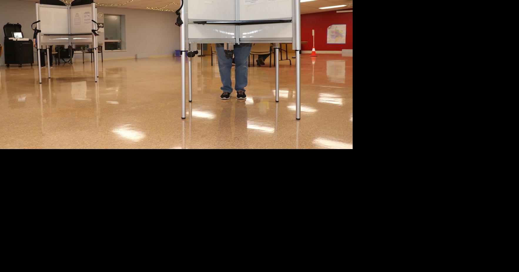 Spring primary election results | Local News | wdtimes.com