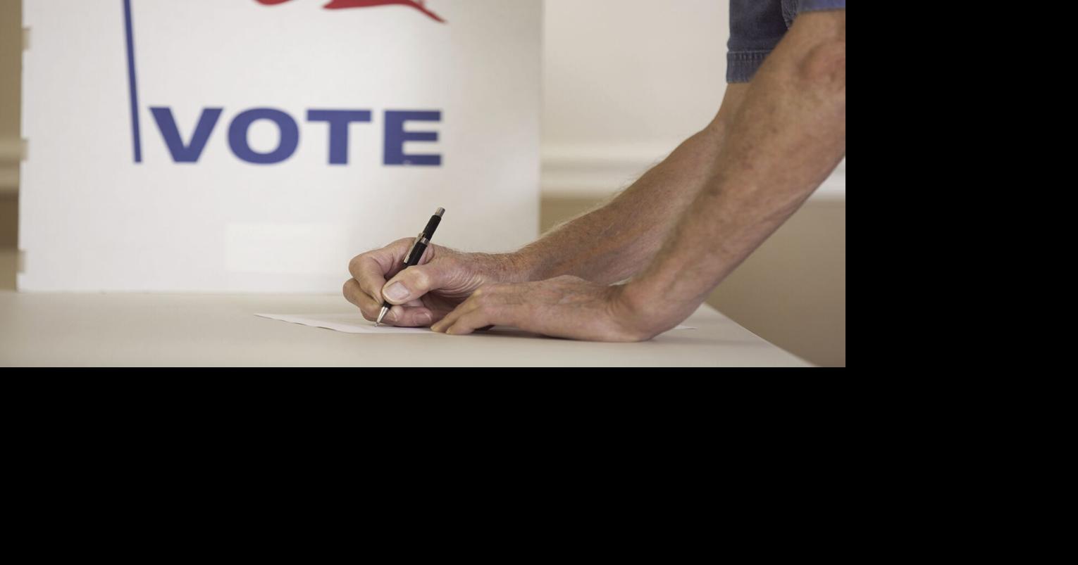 Amendments, local issues on the ballot for Election Day | News ...