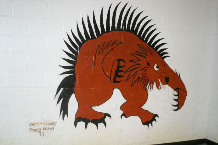 Springtown mascot is 'sharp' | Local News | weatherforddemocrat.com