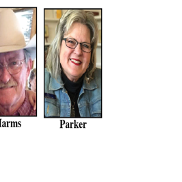 Meet the candidates for Springtown City Council Place 3 | News ...