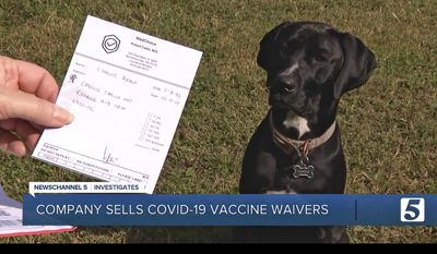 Doctor Lands in the Doghouse After Giving Covid Vaccine Waivers Too ...
