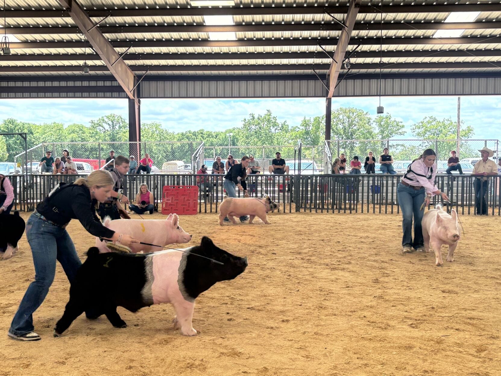 2026 PCLA Youth Livestock Show results | Mineral-wells ...