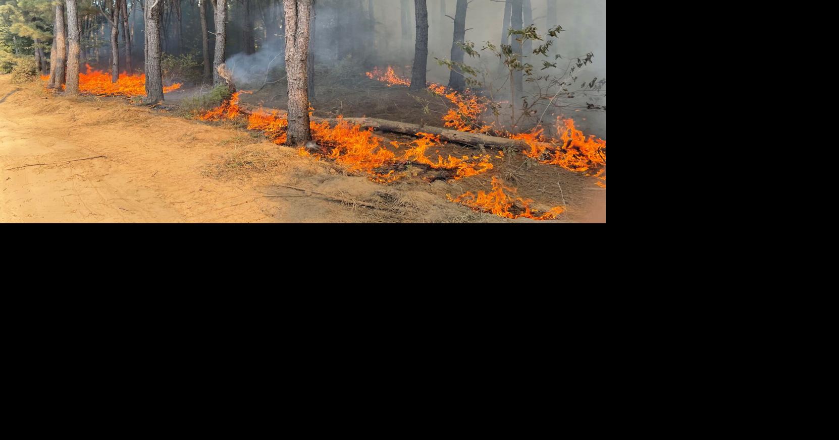 Texas A&M Forest Service warns of increased wildfire danger this week ...