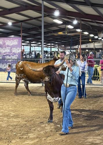 PCLIA stockshow underway | News | weatherforddemocrat.com