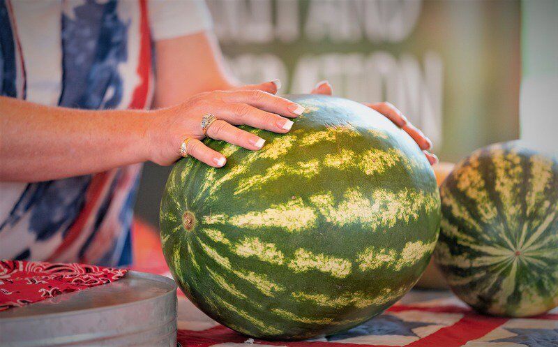 Texas melon, cantaloupe quality up, yields down | Local News ...